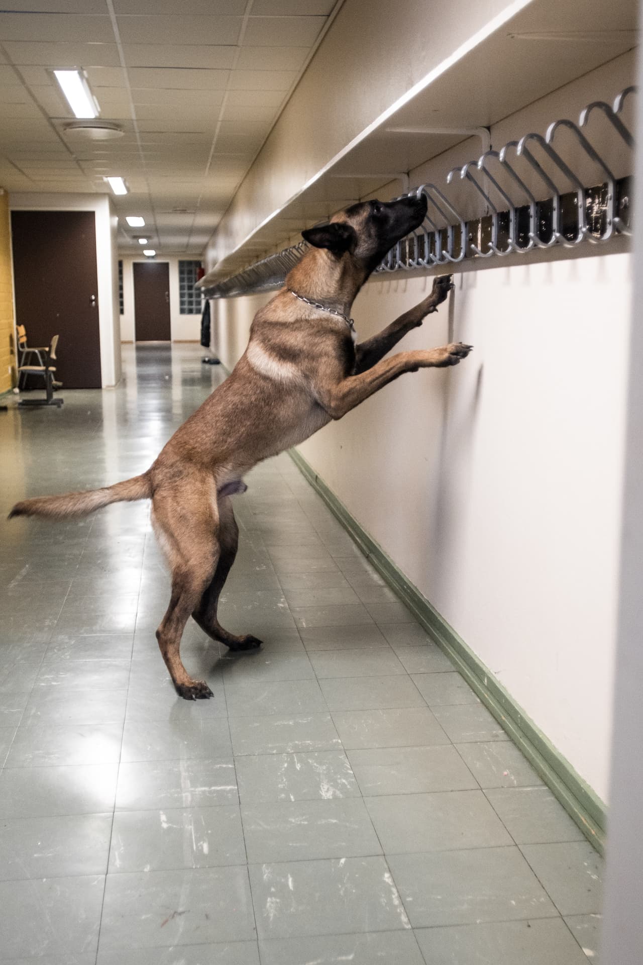 Muovimaton jättäminen lattian alle: Riskit, hyödyt ja oikeat käytännöt